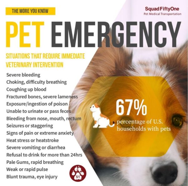 Identifying a Pet Medical Emergency – Squad FiftyOne Pet Emergency Response